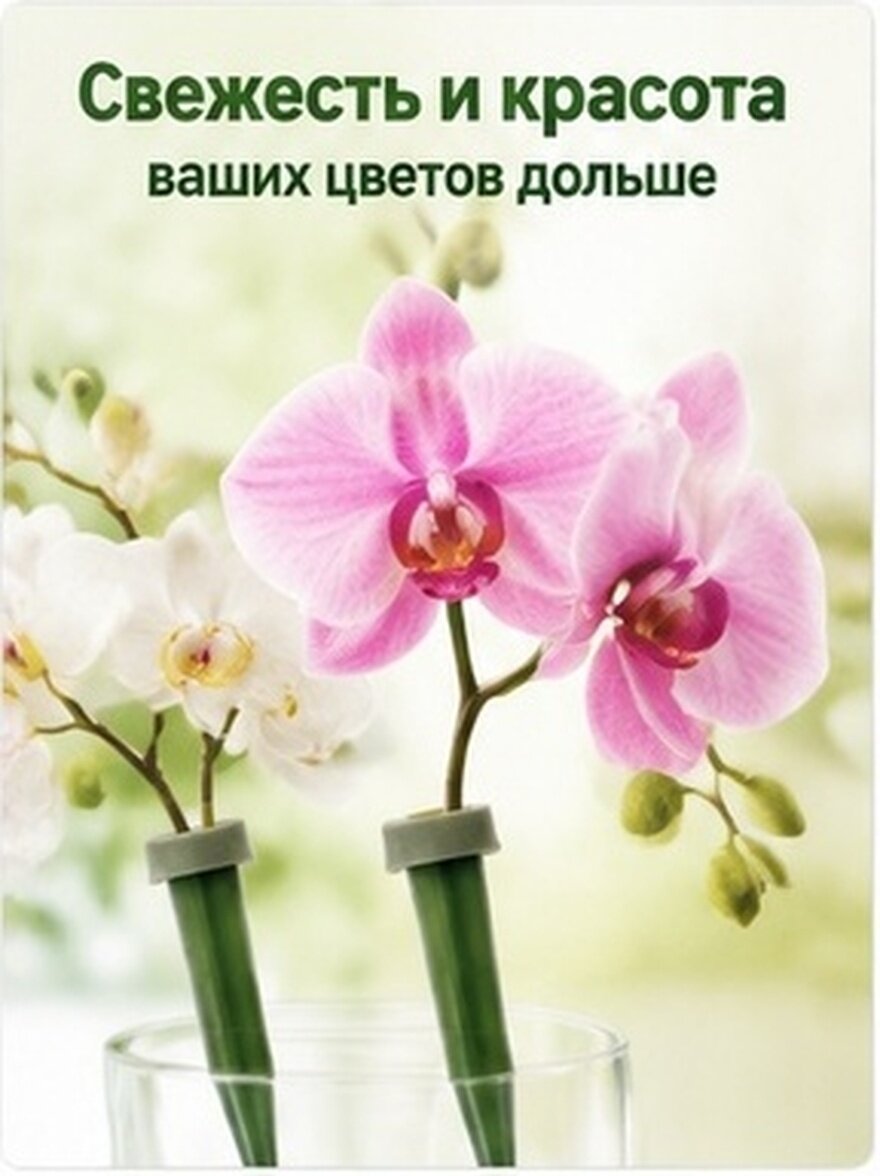 Набор из 25 пластиковых водяных трубок для цветов с крышками, 14,5 см, для орхидей и свежих букетов