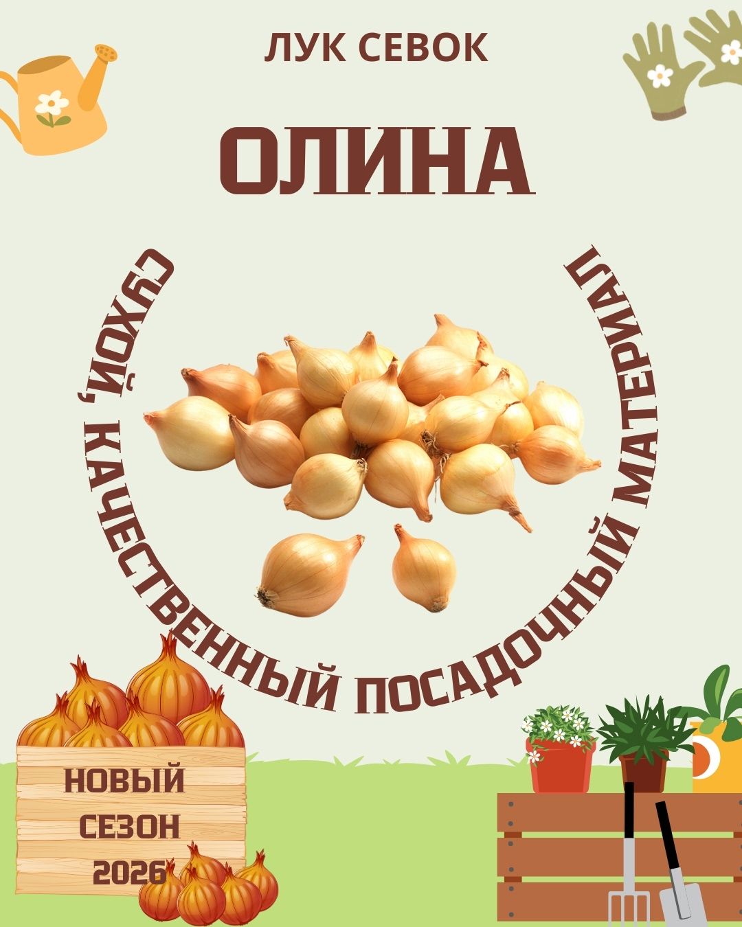 Лук севок Олина, 0.5 кг