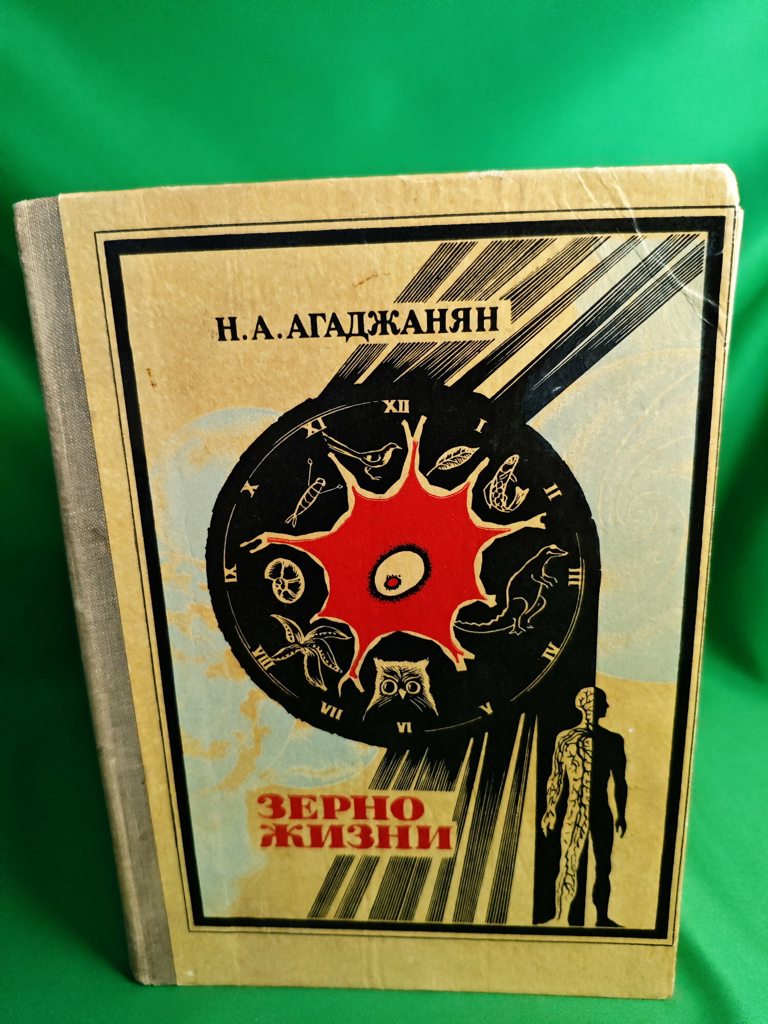 Зерно жизни Букинистическая книга для всех. Печатное издание.