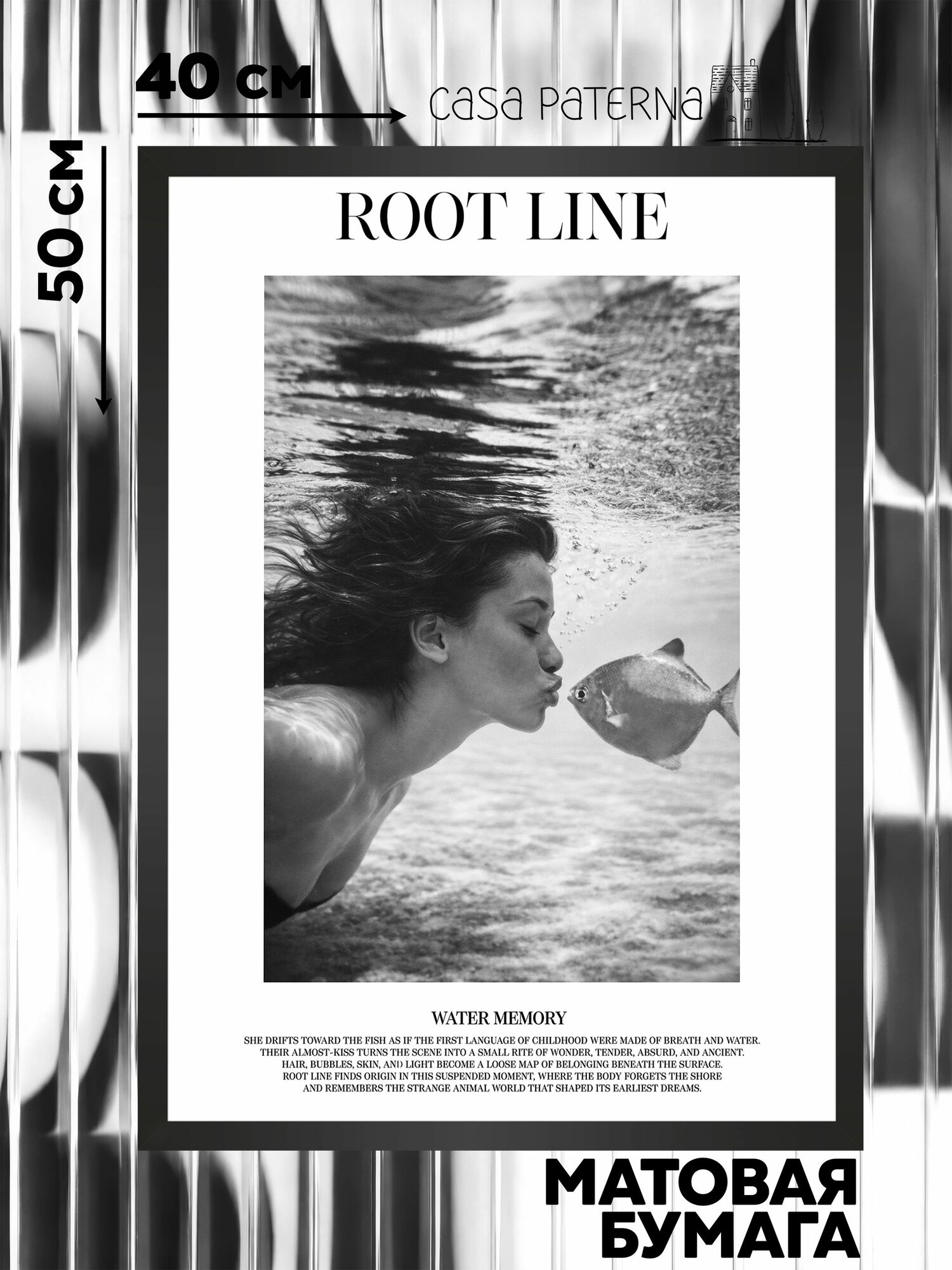 Постер на стену 40х50 Root Line #17, черно-белая фотография для интерьера, без рамки Casa Paterna