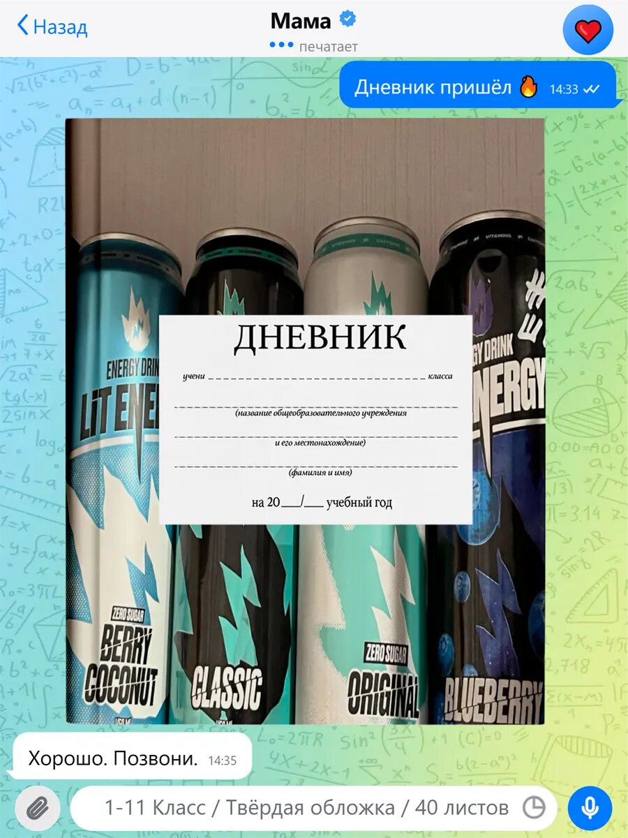 Школьный дневник с принтом Роблокс