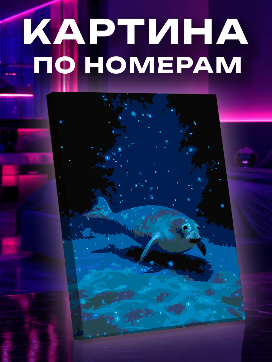 Картина по номерам Сияние тюленя-монаха