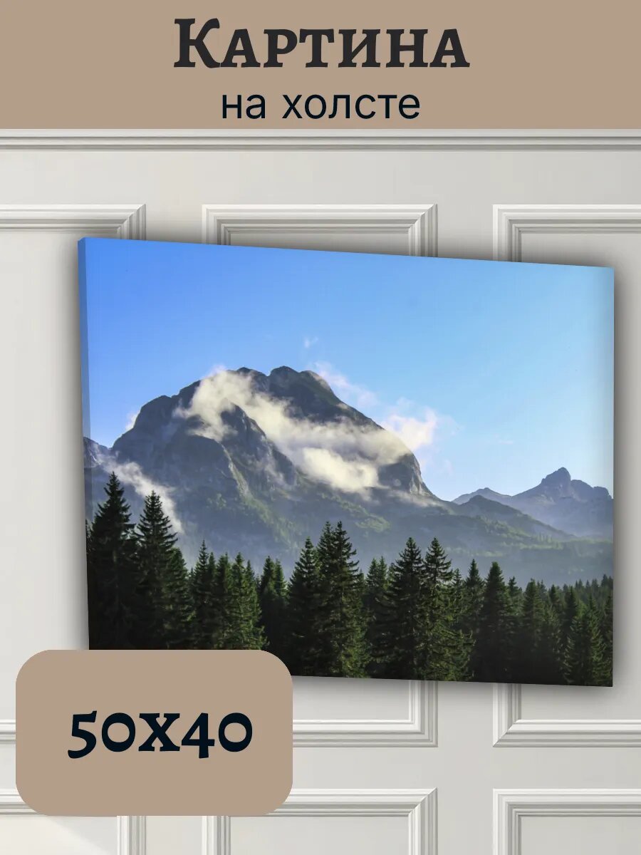 Картина Черногория Montenegro 40x50 горный пейзаж с лесом