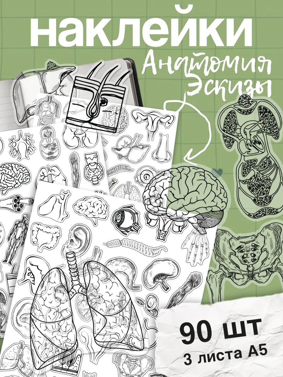 Наклейки "Анатомия. Эскизы" прозрачные матовые, стикеры виниловые, 90 шт, 3 листа А5