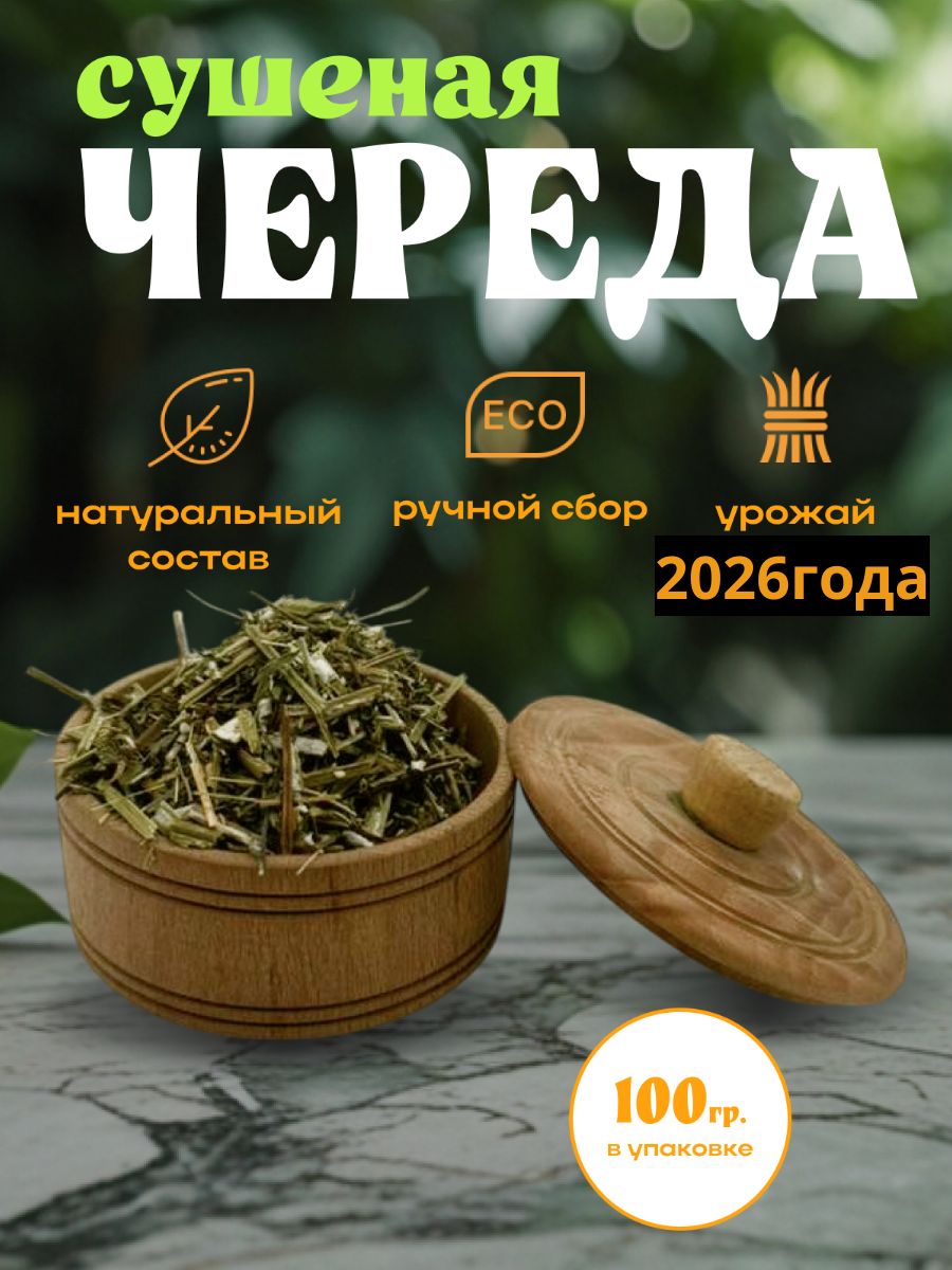 Череда сушеная