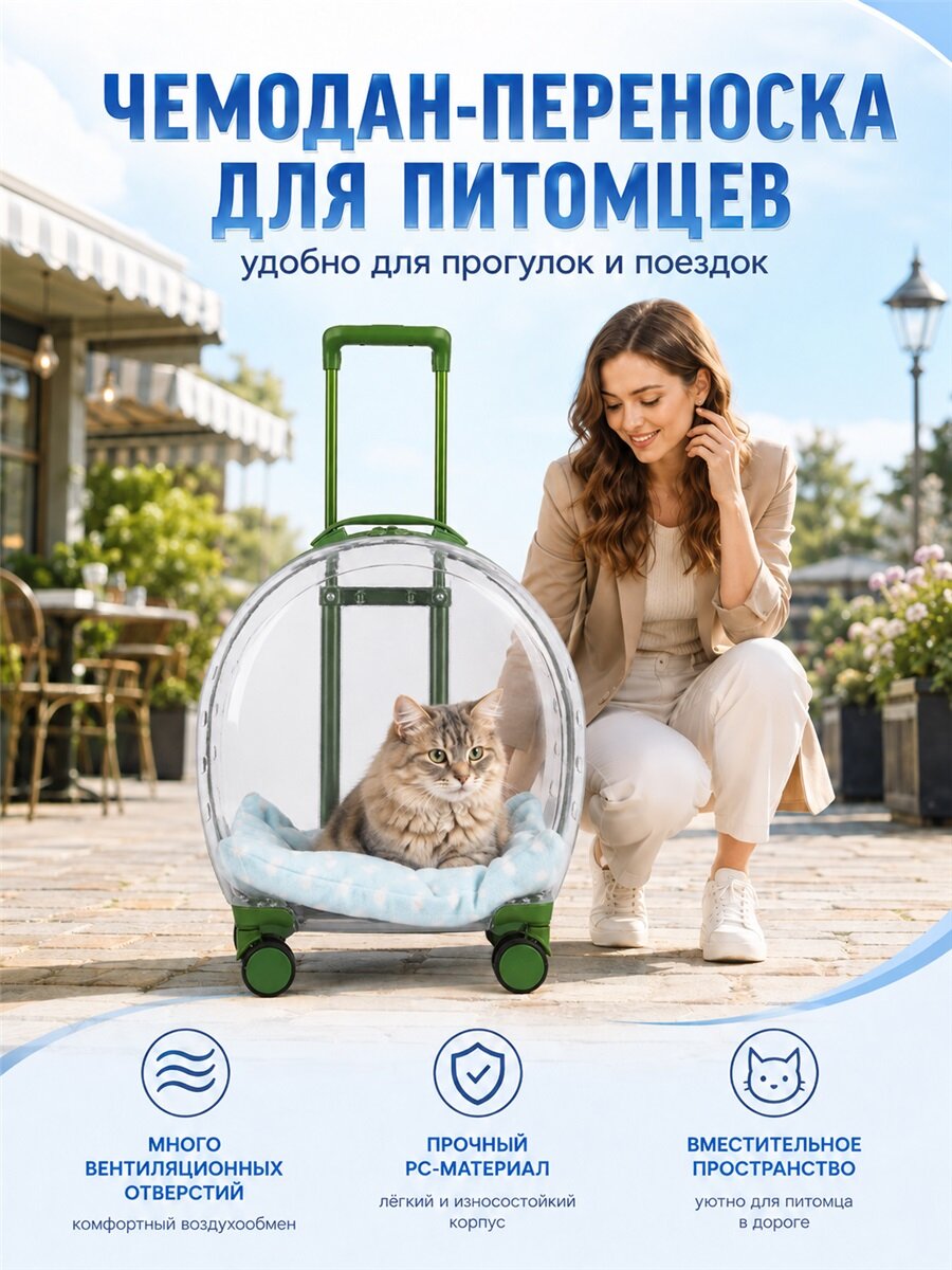 Чемодан‑переноска для питомцев с вентиляционными отверстиями, вместительный прозрачный контейнер на колёсах, удобный аксессуар для путешествий с котом или собакой