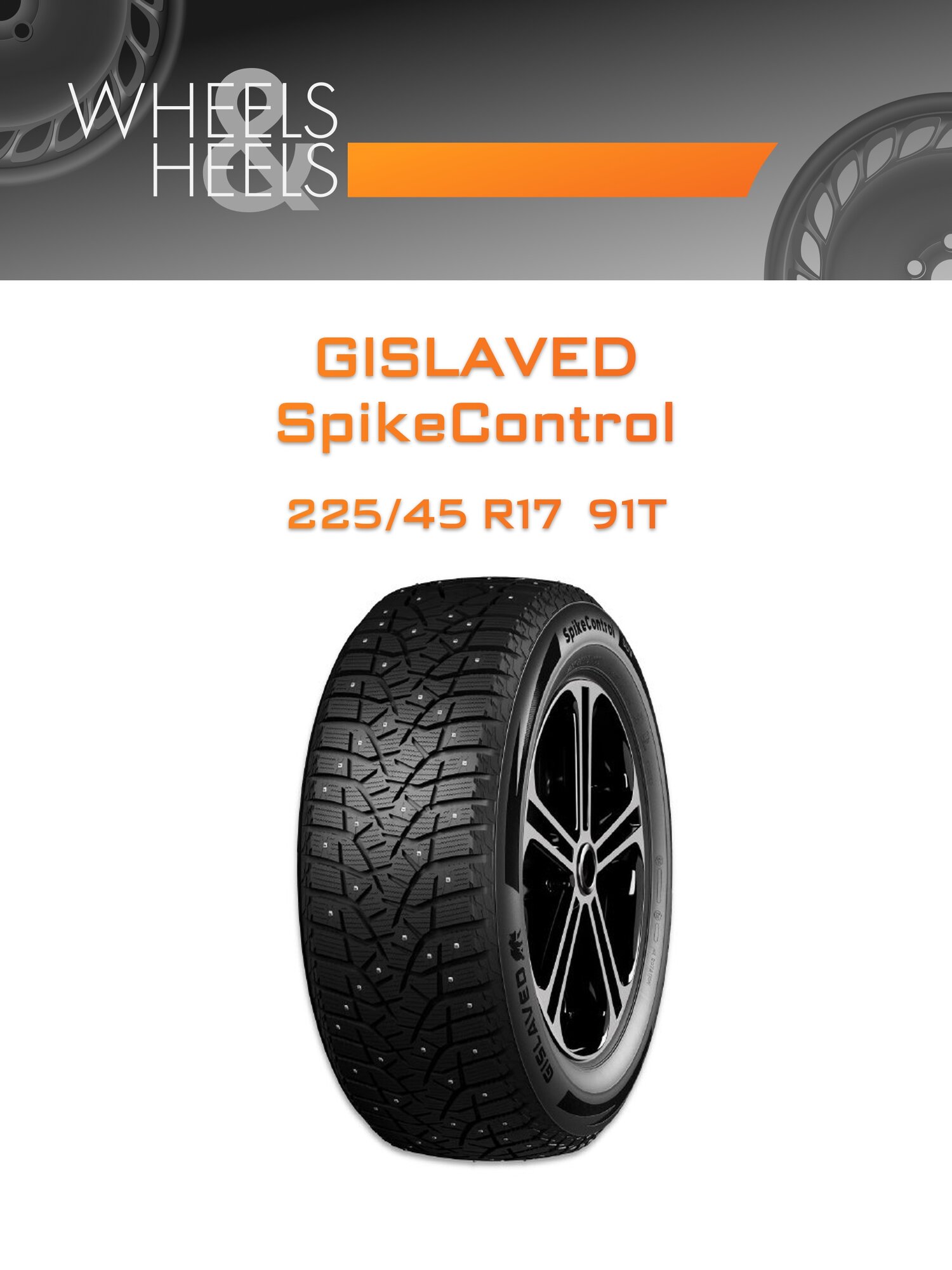 Шина автомобильная GISLAVED SpikeControl 225/45 R17 91T WINTER Ш, зимняя, универсальная