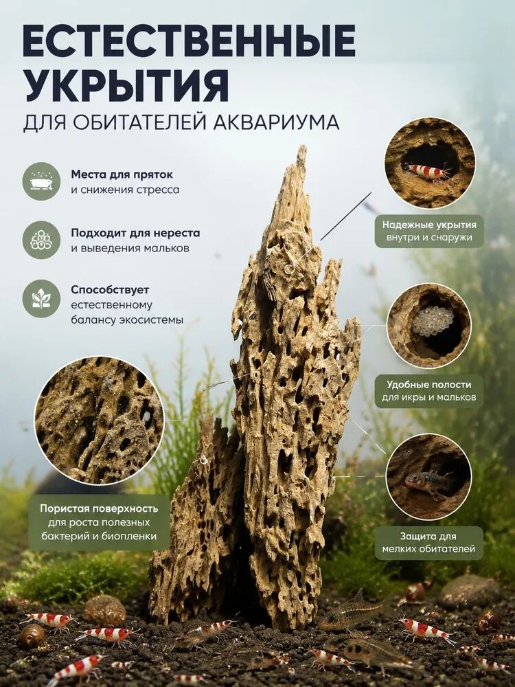 Декорация для аквариума из натурального коряги с отверстиями, 20 30 см, укрытия рыб и креветок