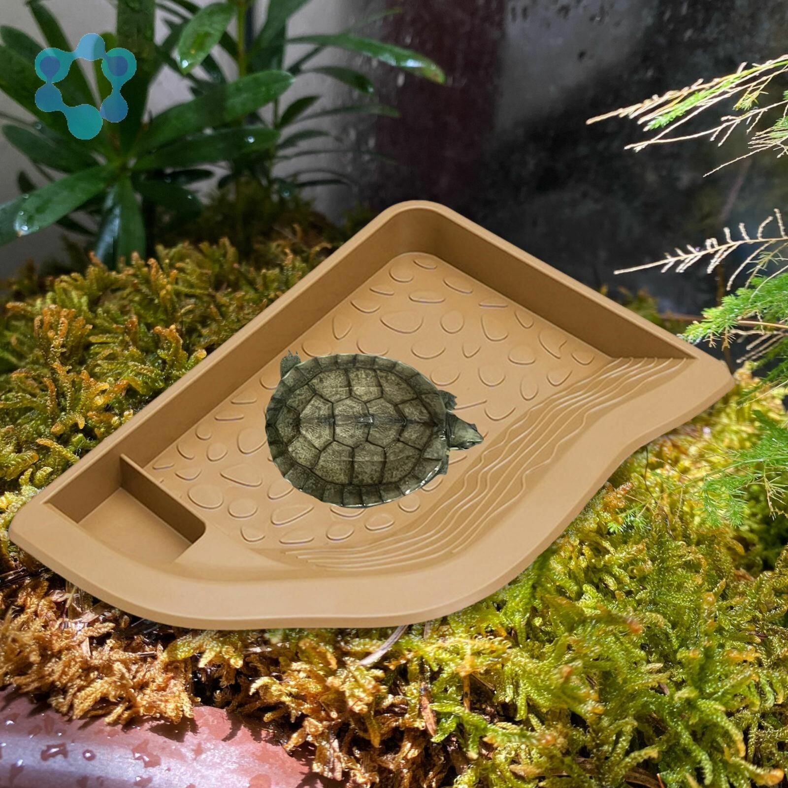 Бассейн для купания черепах с пандусом Gecko Snake 24,2x16,5x2,8 см для черепах купальня для рептилий мини-бассейн