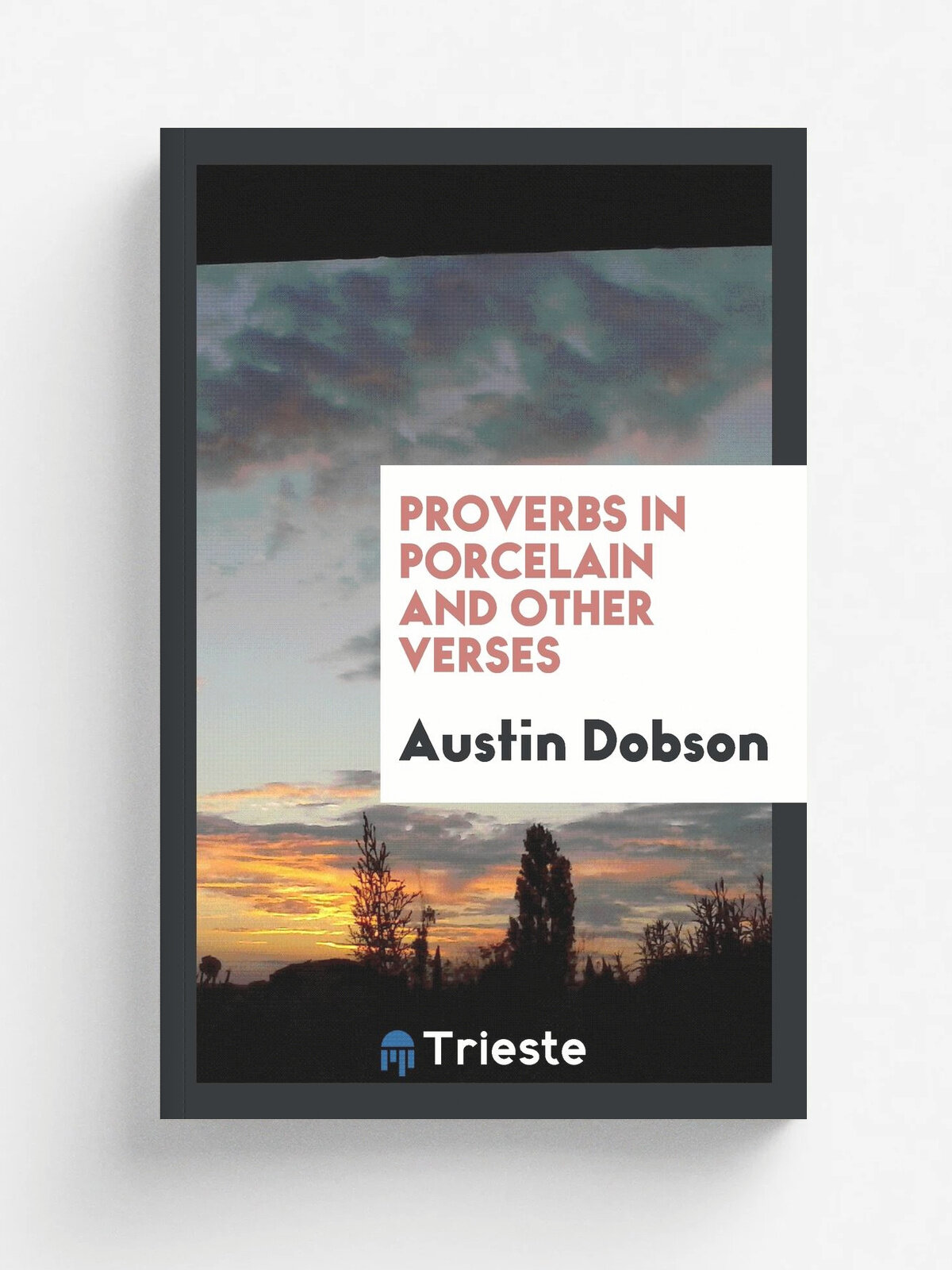 Proverbs in Porcelain and Other Verses