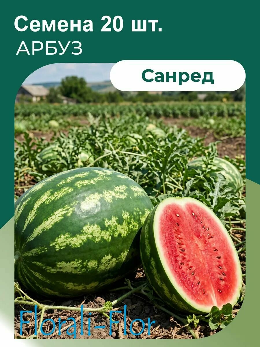 Арбуз Семена
