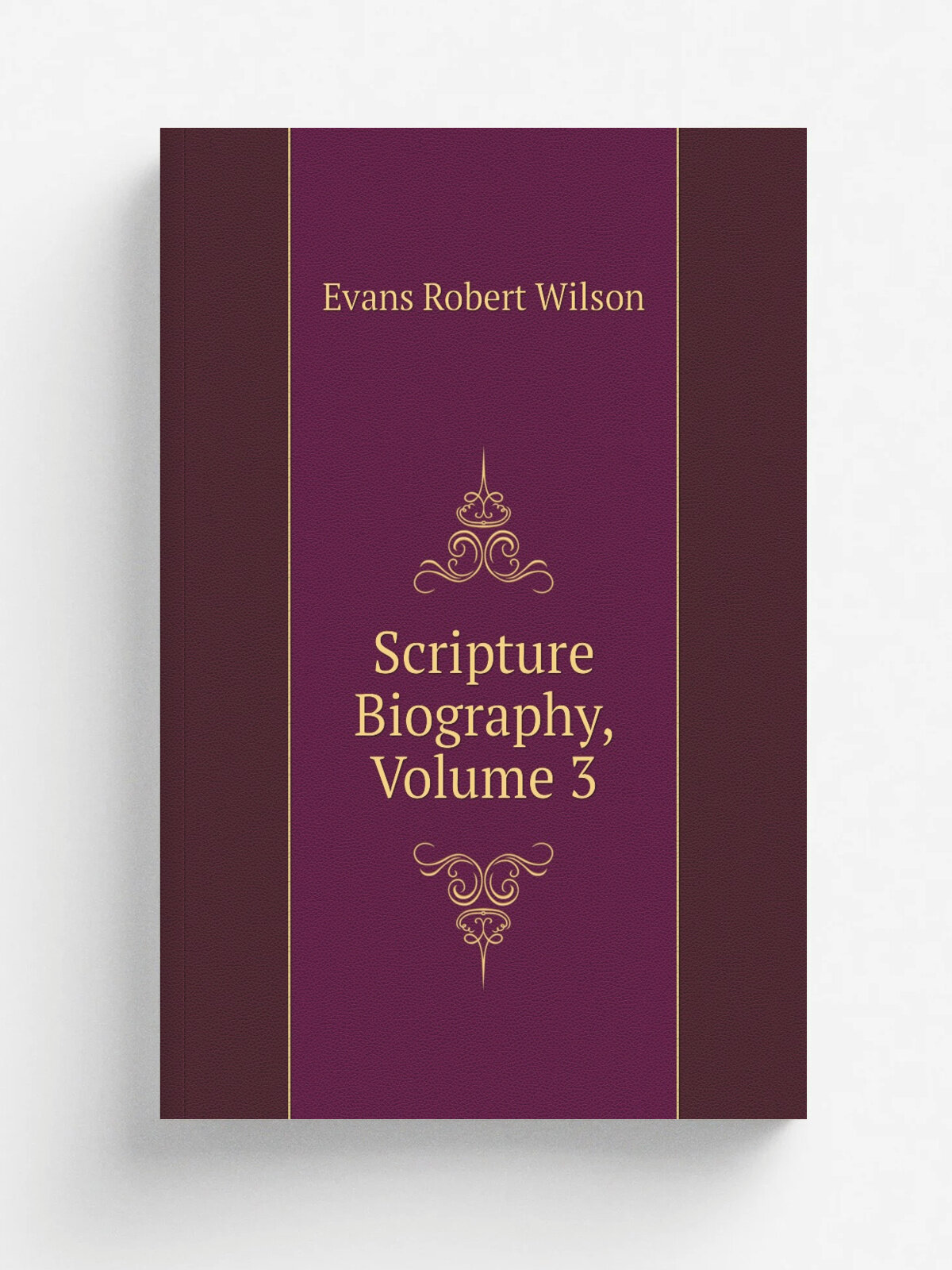 Scripture Biography, Volume 3 | Evans Robert Wilson | Репринт