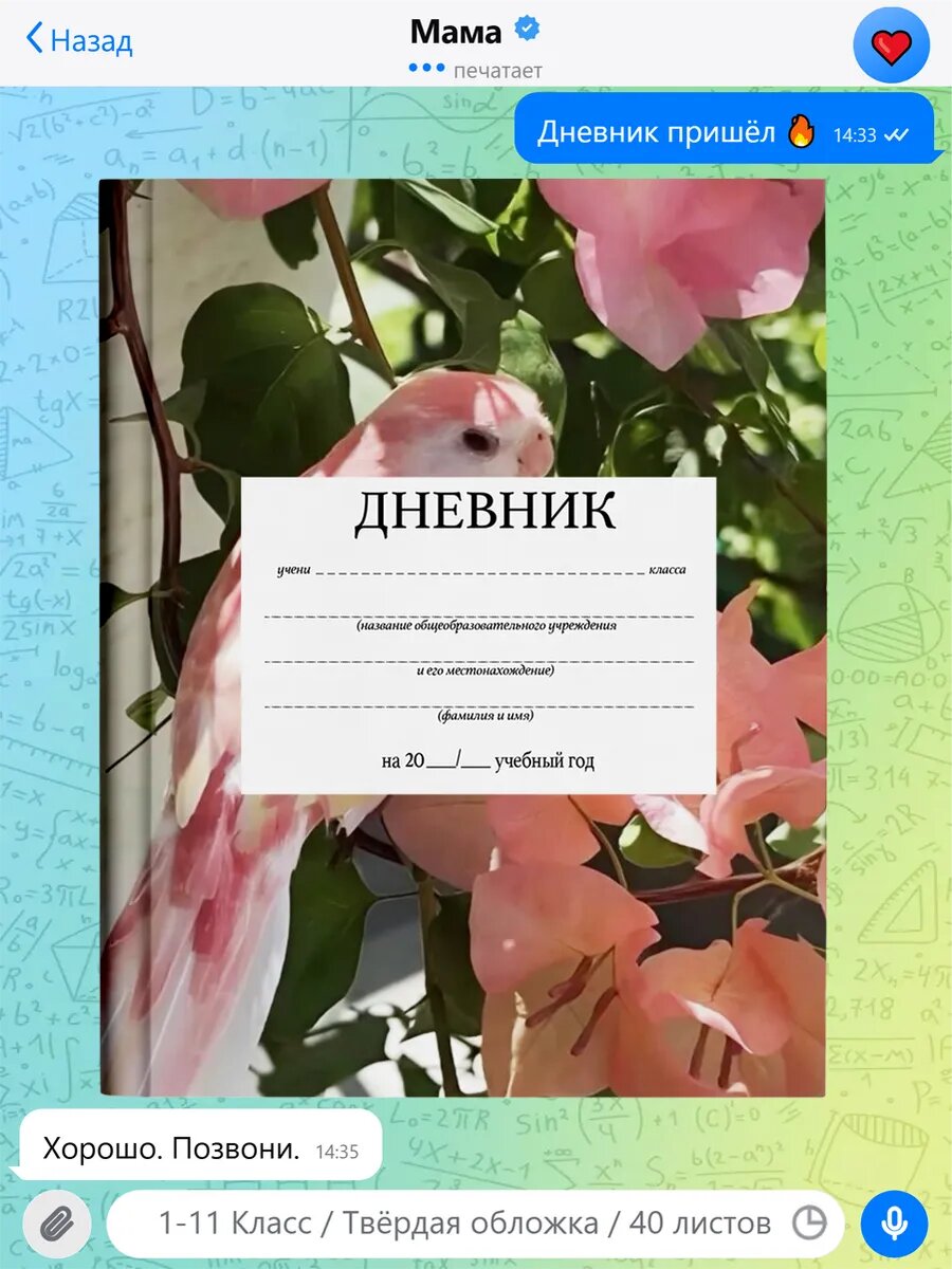 Школьный дневник с принтом y2k pinterest
