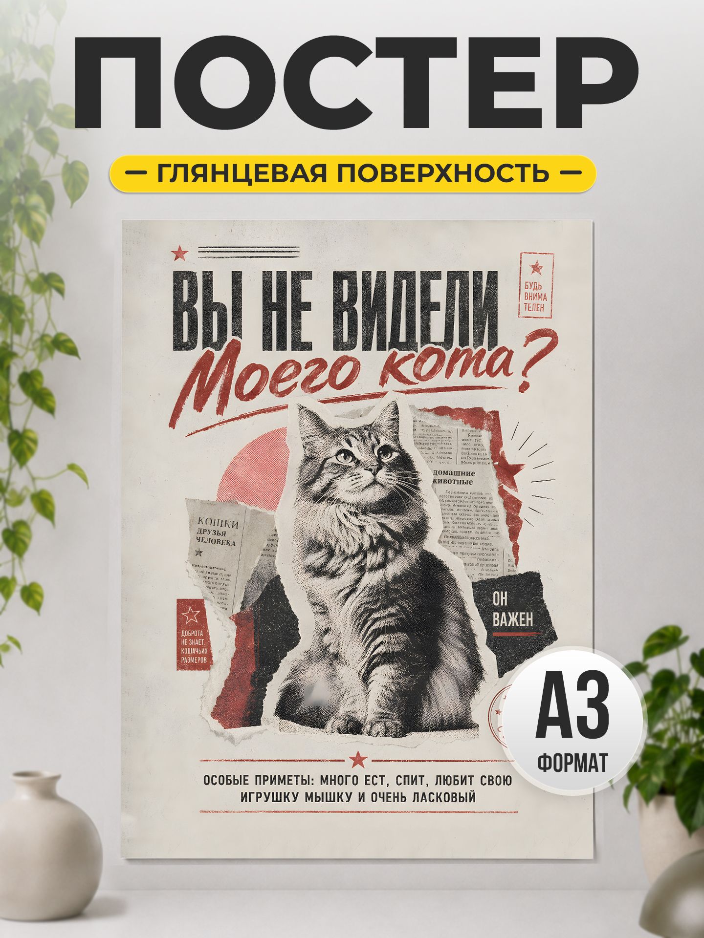 Постер смешной Вы не видели моего кота