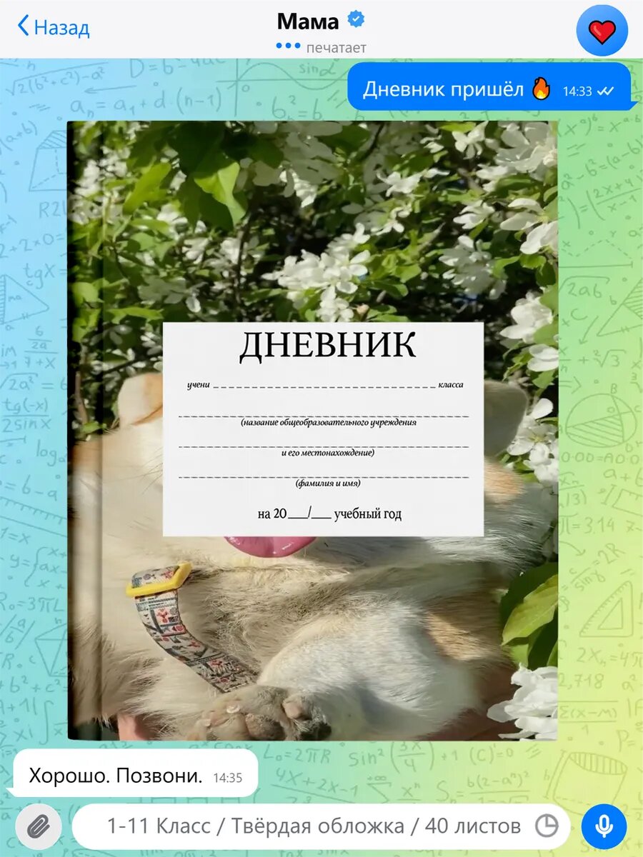 Школьный дневник с принтом y2k pinterest