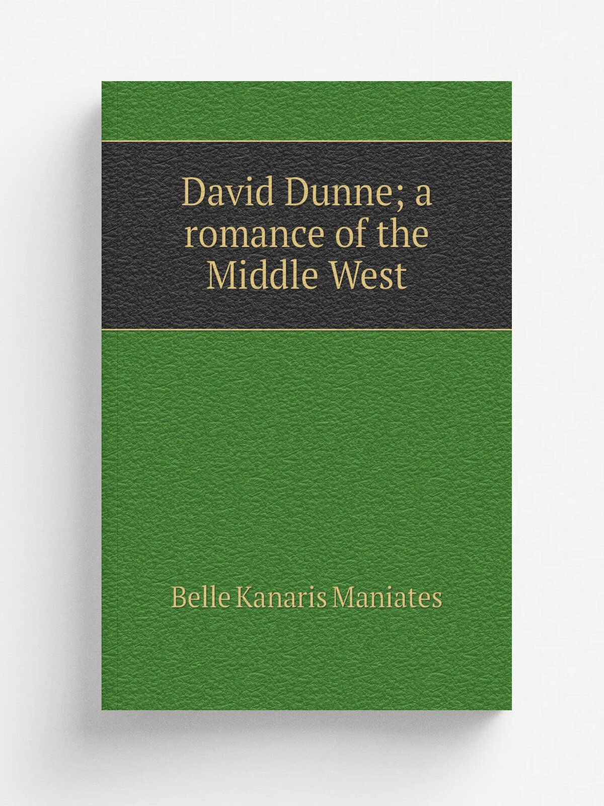 David Dunne; a romance of the Middle West | Belle Kanaris Maniates | Chicago, New York : Rand, McNally & company | Репринт