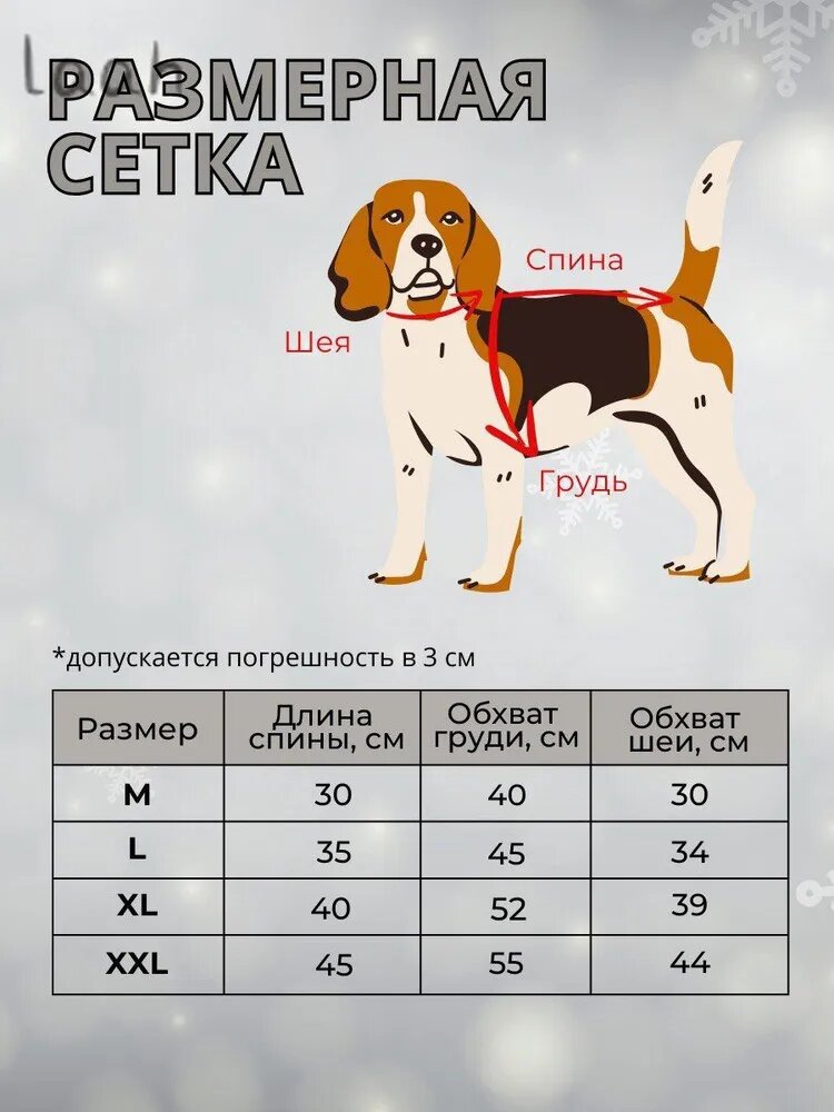 Одежда для животных — фото 1