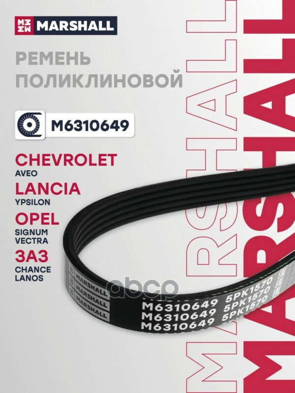Ремень поликлиновой MARSHALL арт. M6310649