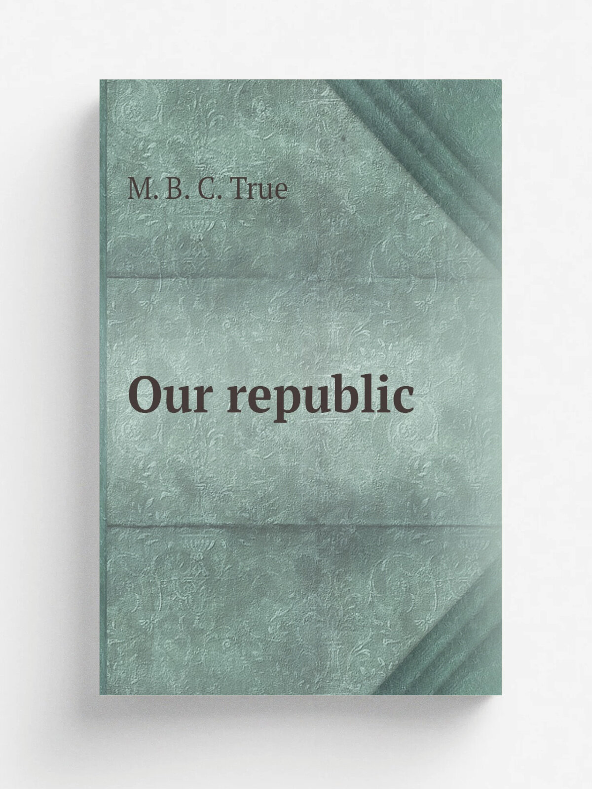 Our republic | M. B. C. True | 1888 | Boston : Leach, Shewell & Sanborn | Репринт