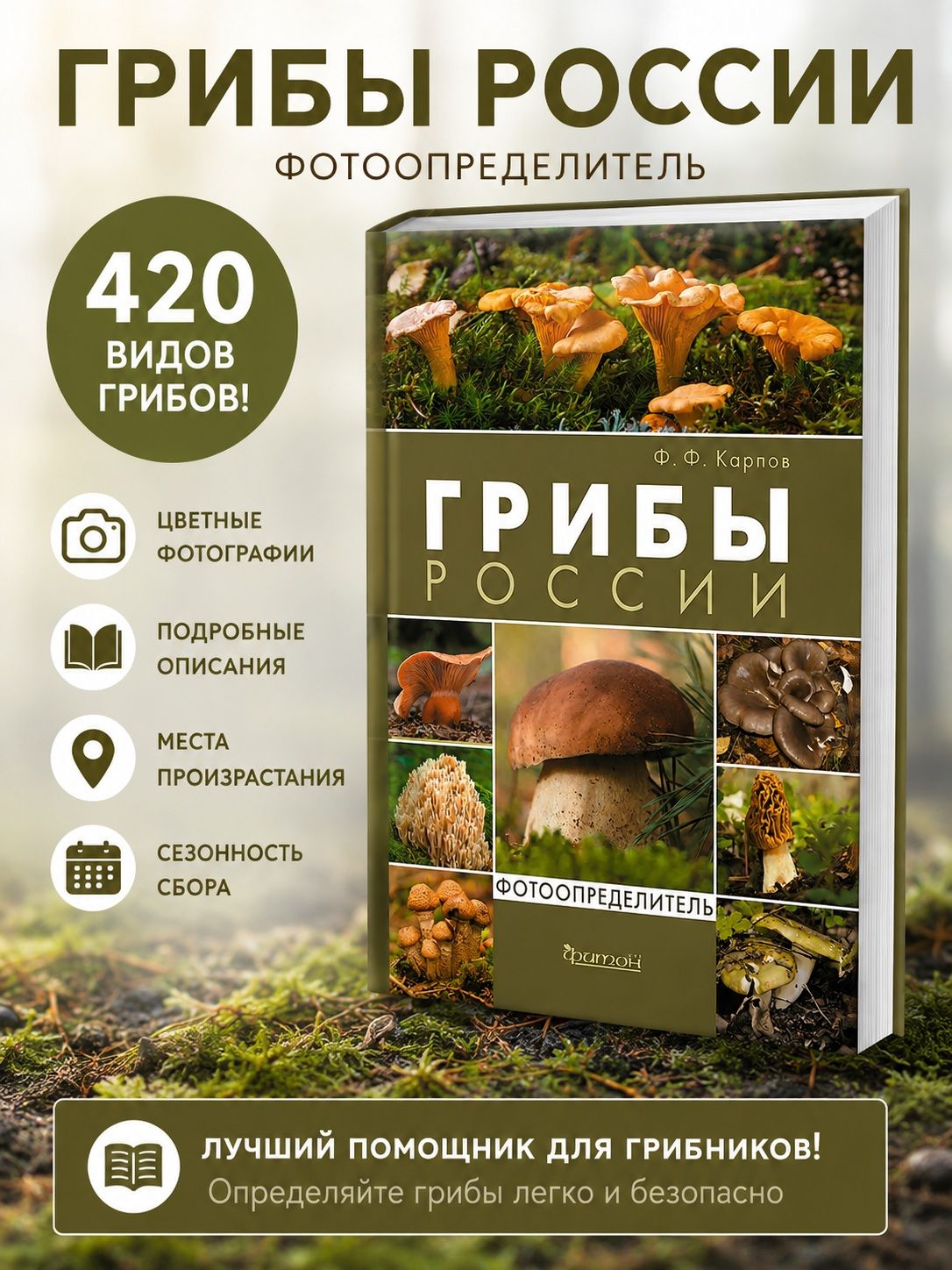 Грибы России. Фотоопределитель
