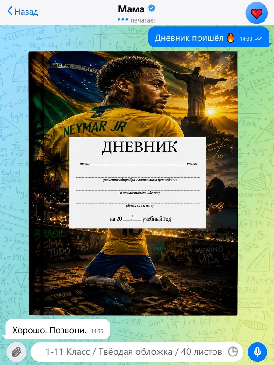 Школьный дневник с принтом Футбол