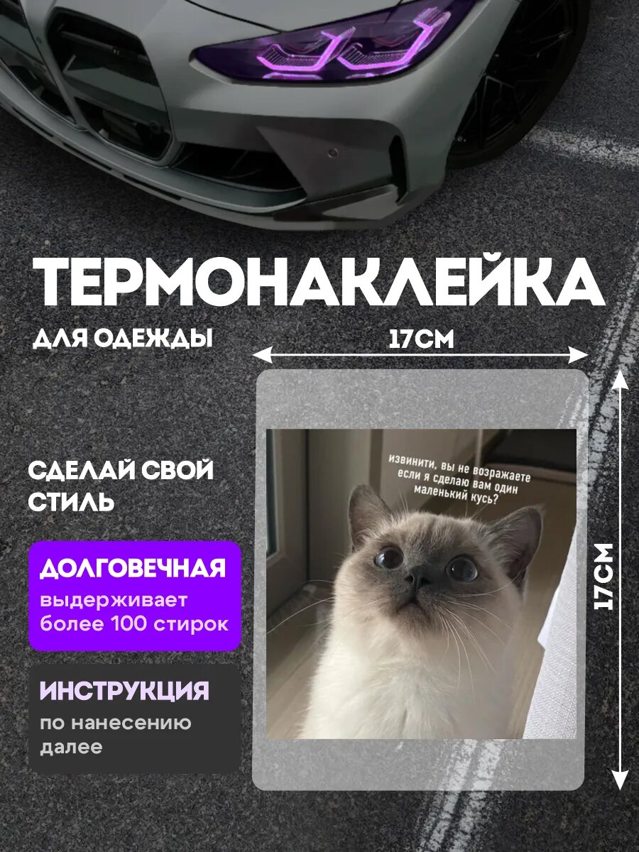 Термонаклейка на одежду прикол коты