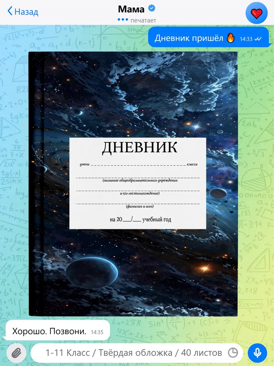 Школьный дневник с принтом Роблокс