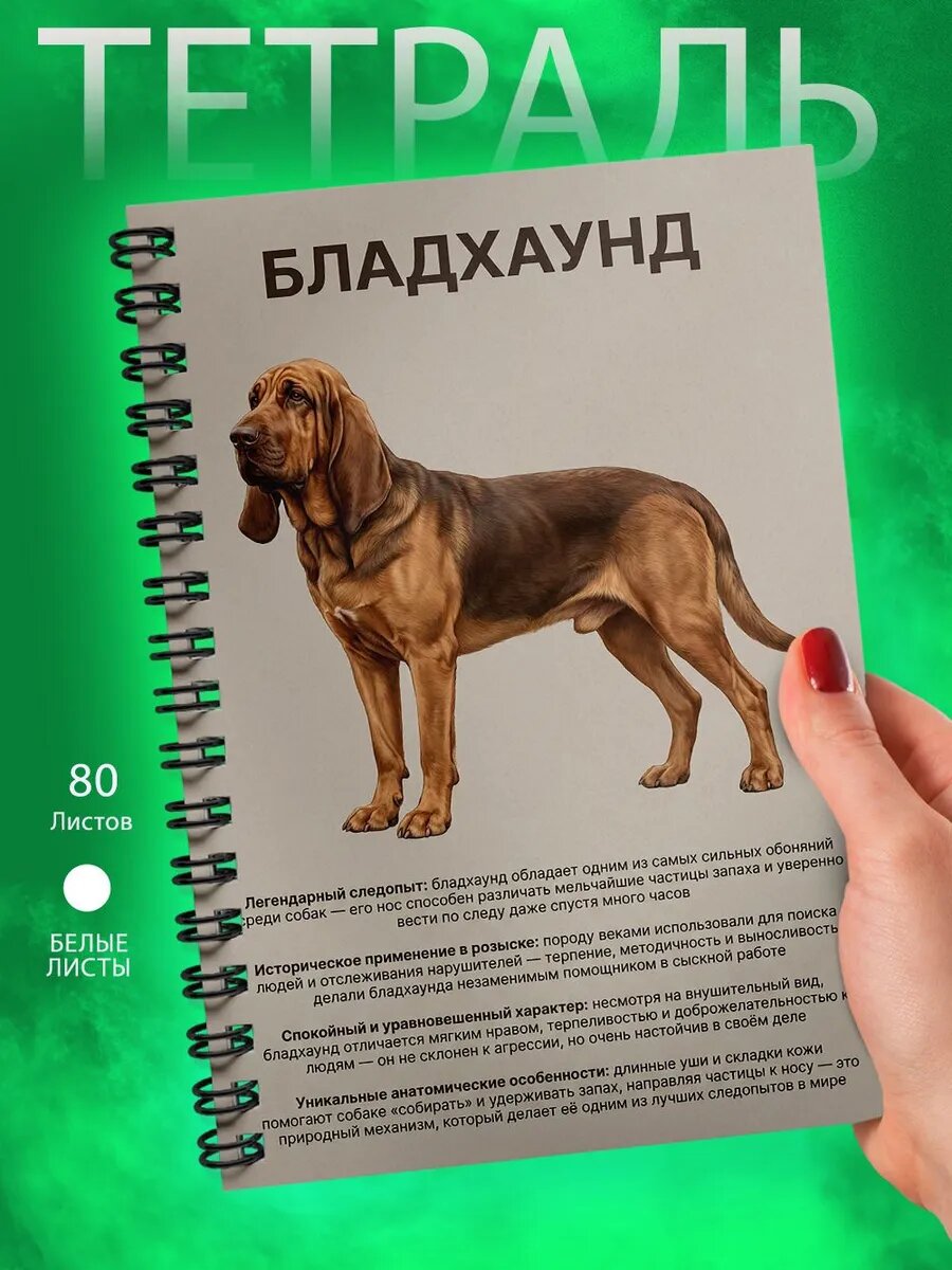 Тетрадь - А5 - Бладхаунд