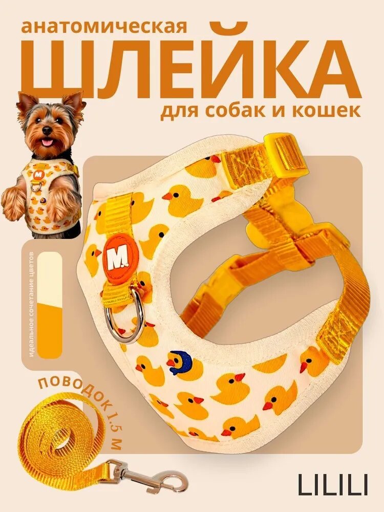Шлейка для кошек, собак мелких, средних пород, щенков, взрослых животных с поводком, прогулочная, анатомическая, регулируемая, для дрессировки