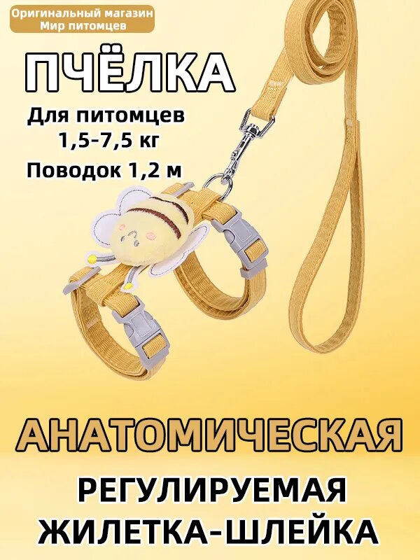 Анатомическая шлейка-жилетка DUOMM Пчёлка для кошек и собак, регулируемая, поводок 120 см, для веса 1.5-7.5 кг