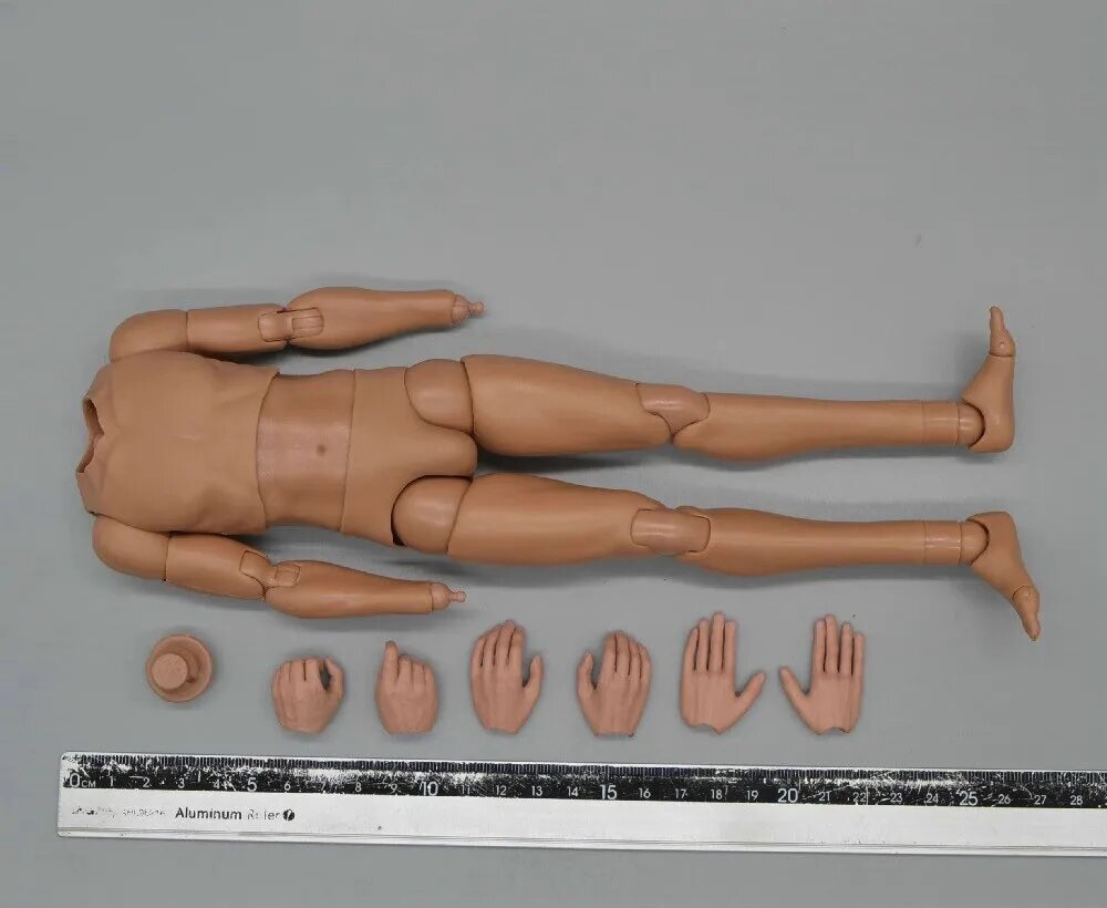 Фигурка 1/6 DID Body, цвет DID Body