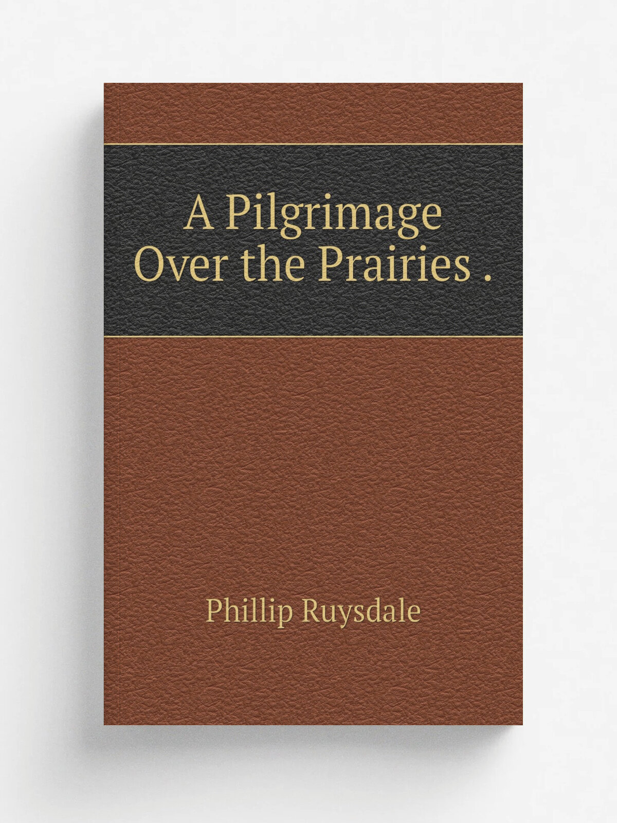 A Pilgrimage Over the Prairies .