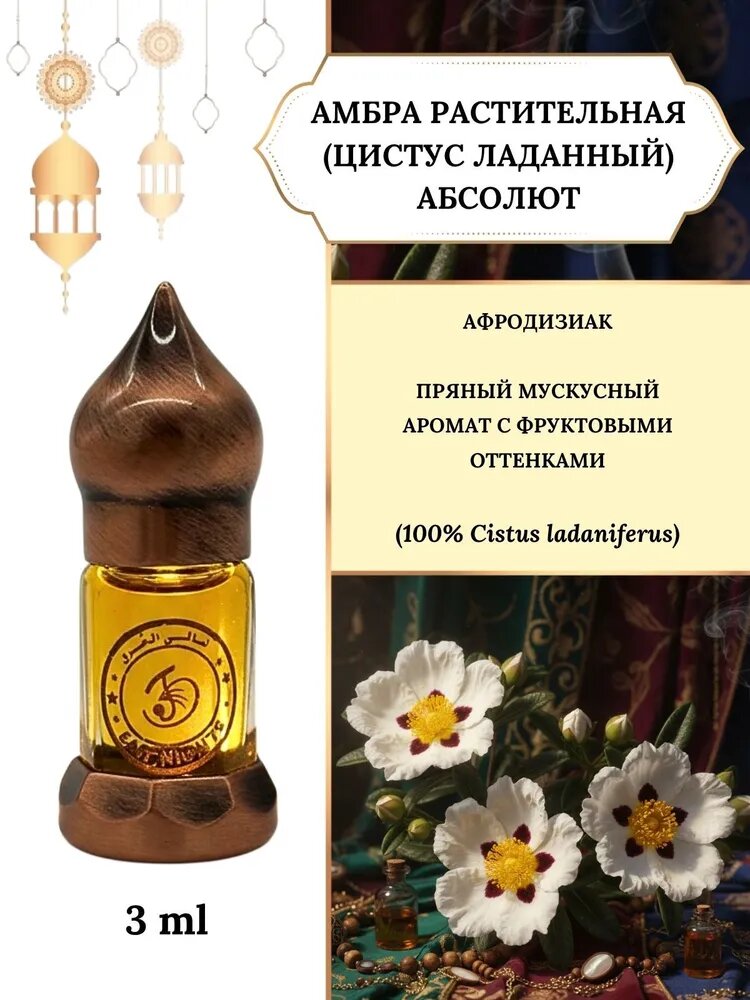 Амбра растительная - ладанника ладаноносного