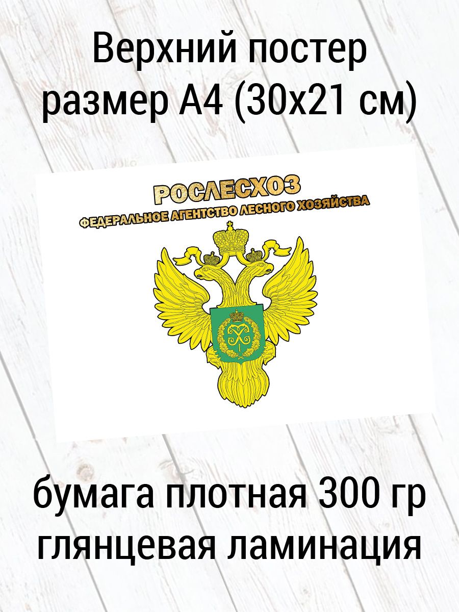 Календарь Рослесхоз — фото 1