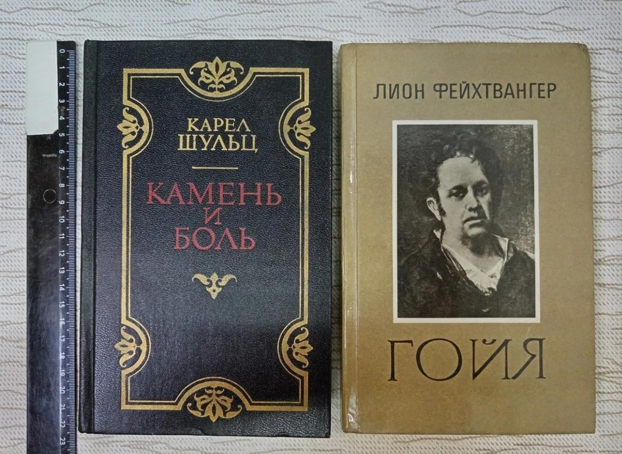 Камень и боль (Шульц). Гойя (Фейхтвангер). Комплект из 2 книг