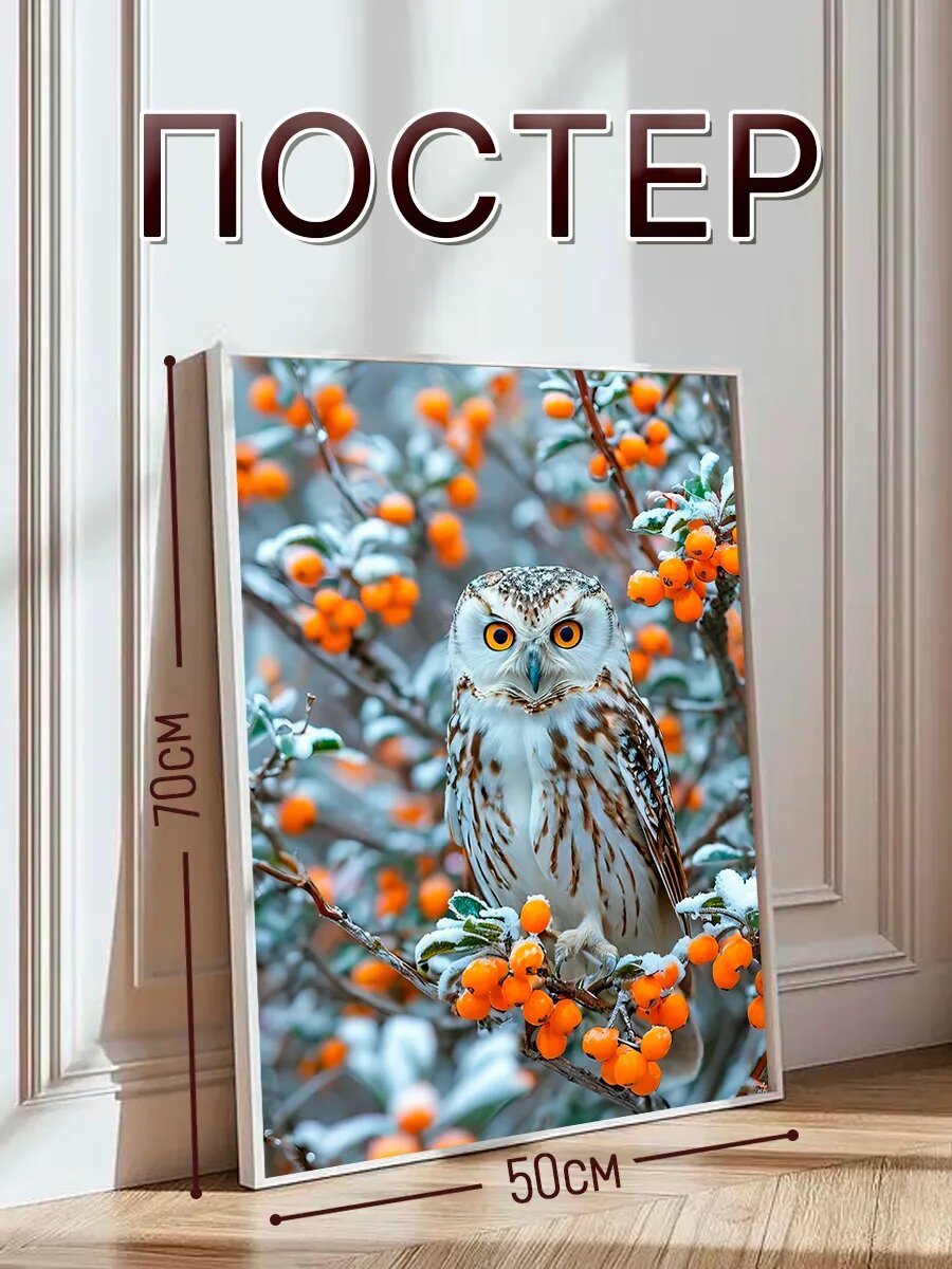 Постер на стену интерьерный, постер 50х70