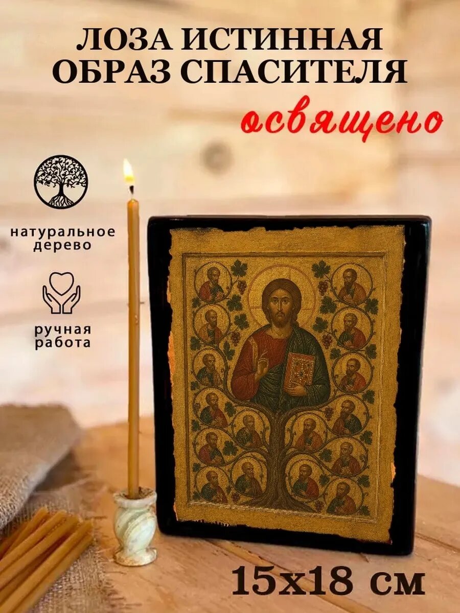 Икона Лоза Истинная, на дереве, 15×18 см, освящённая, ручная работа