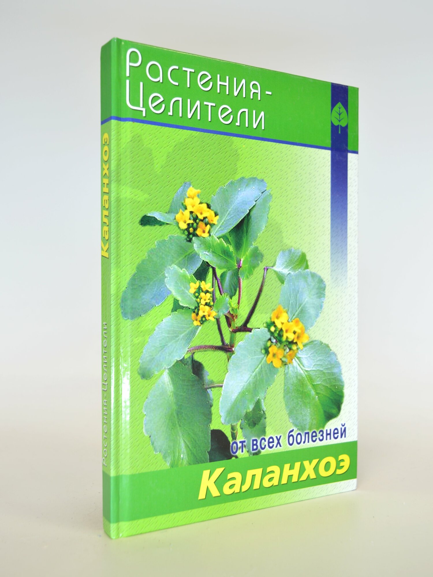 Каланхоэ. Павлов Сергей Анатольевич. Букинистическая книга в отличном состоянии.