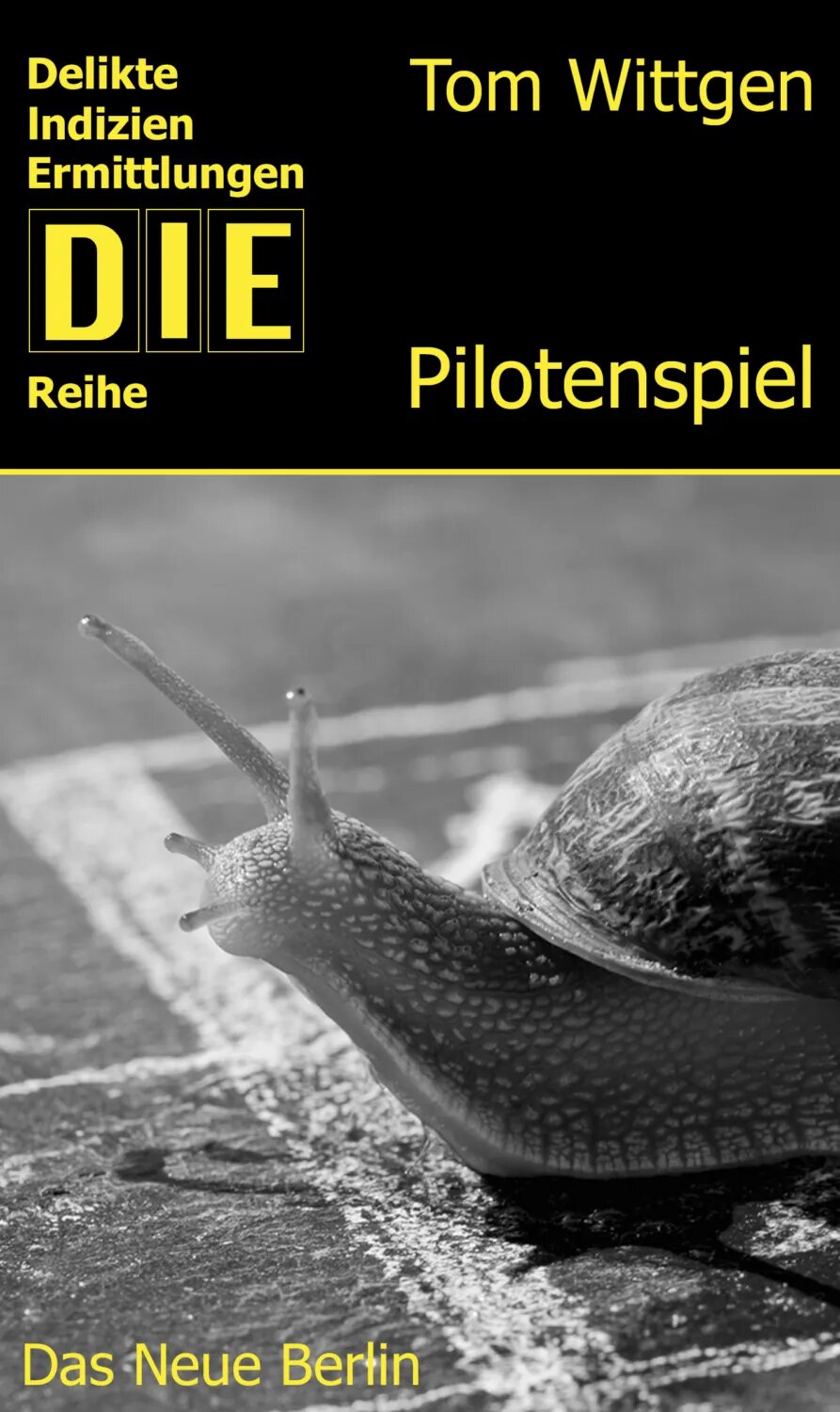 Das Pilotenspiel [Цифровая книга]