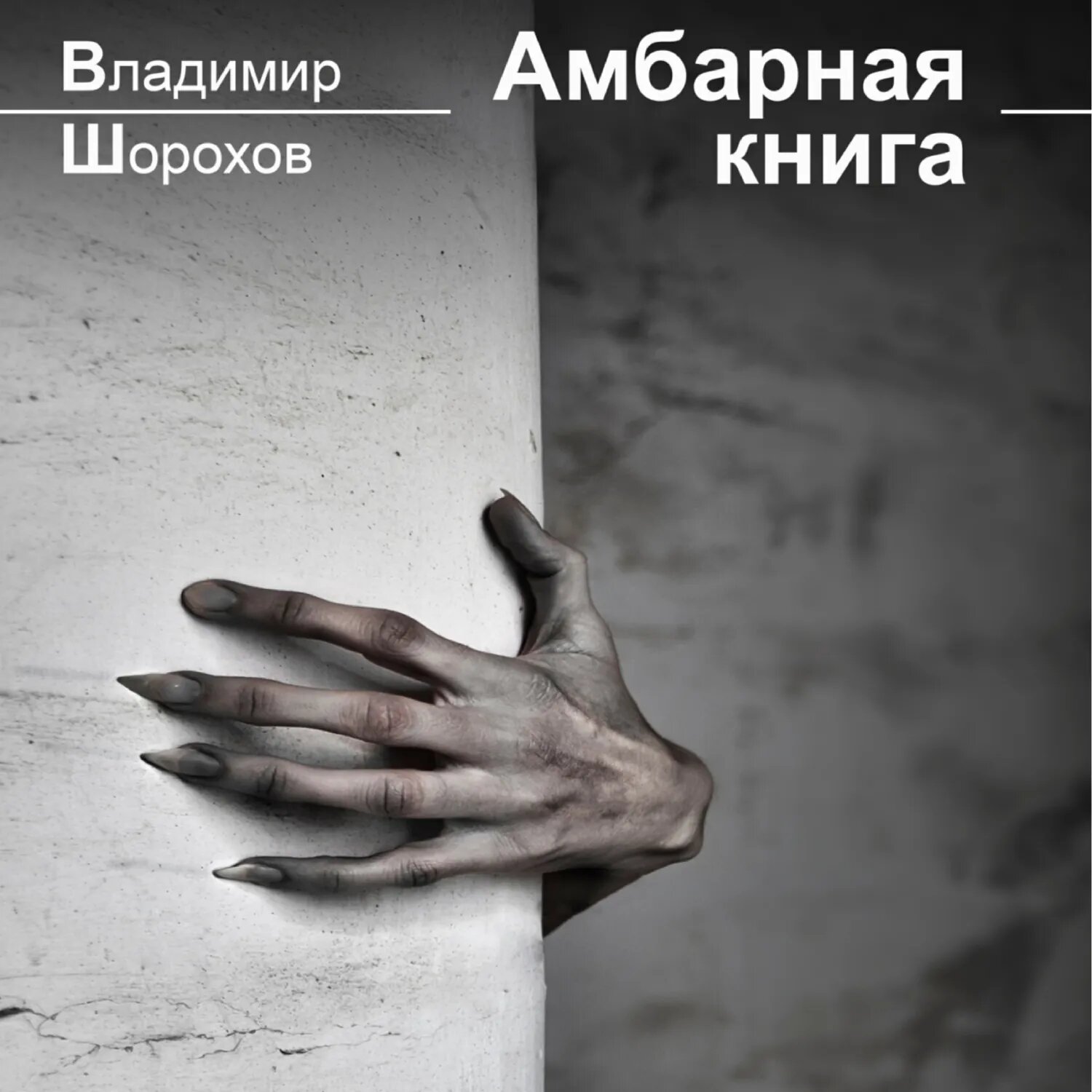 Амбарная книга [Аудиокнига]