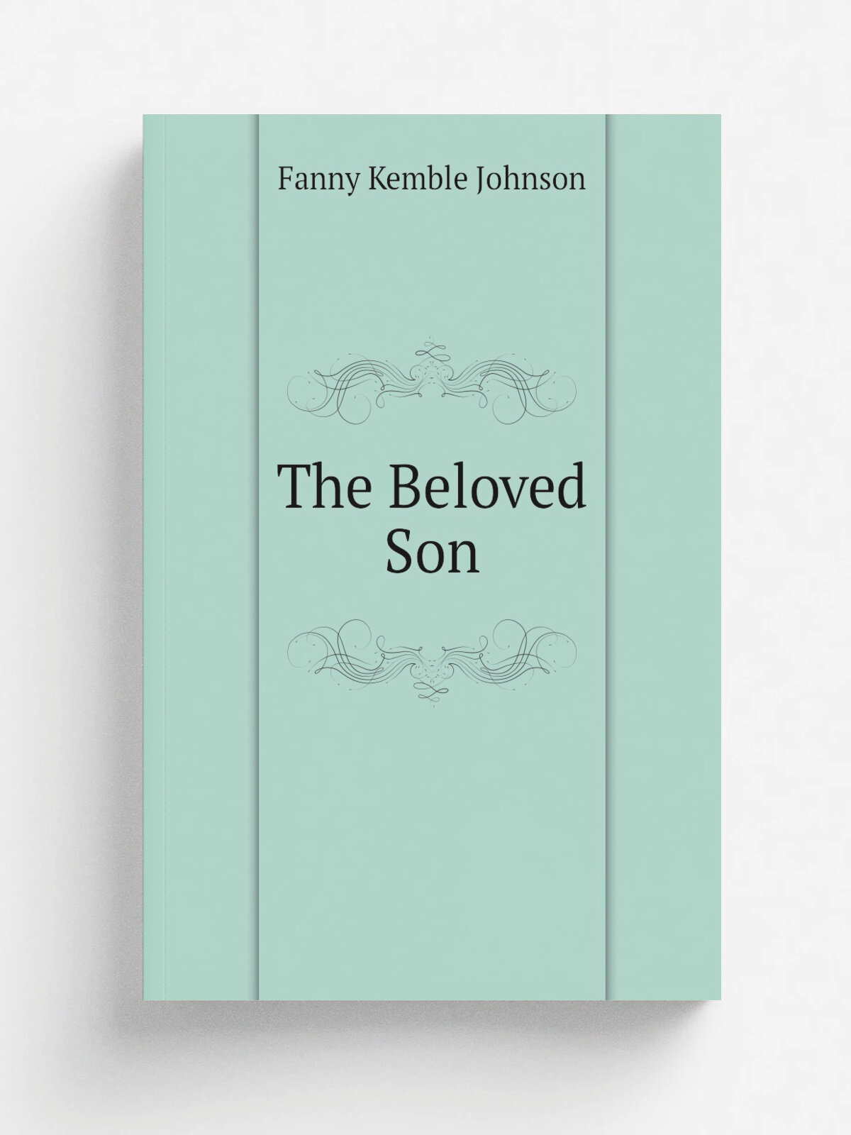 The Beloved Son | Fanny Kemble Johnson | Репринт