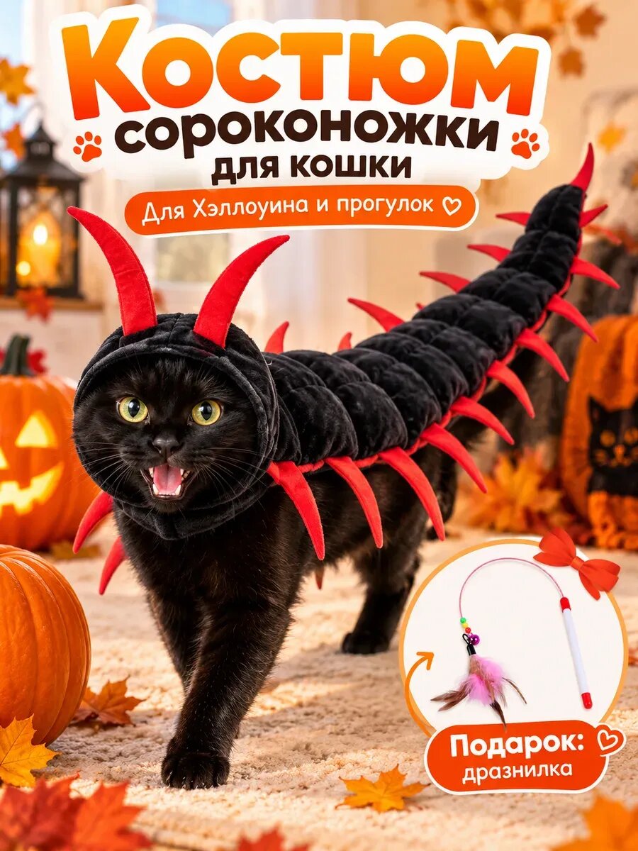 Костюм сороконожки для кошки, декоративная одежда