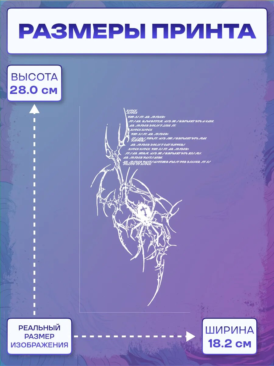 Термонаклейка Spider — фото 1