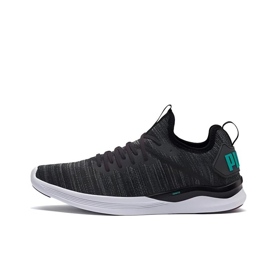 Кеды PUMA IGNITE