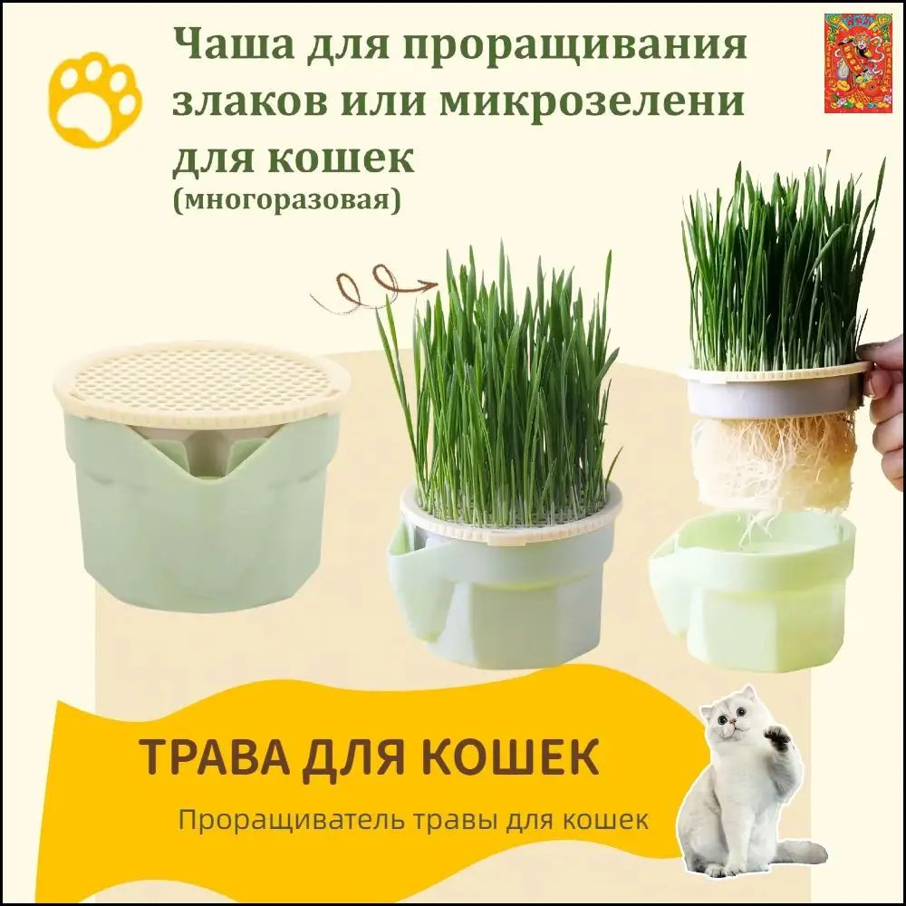 Проращиватель травы для кошек / для микрозелени гидропоника / набор для выращивания