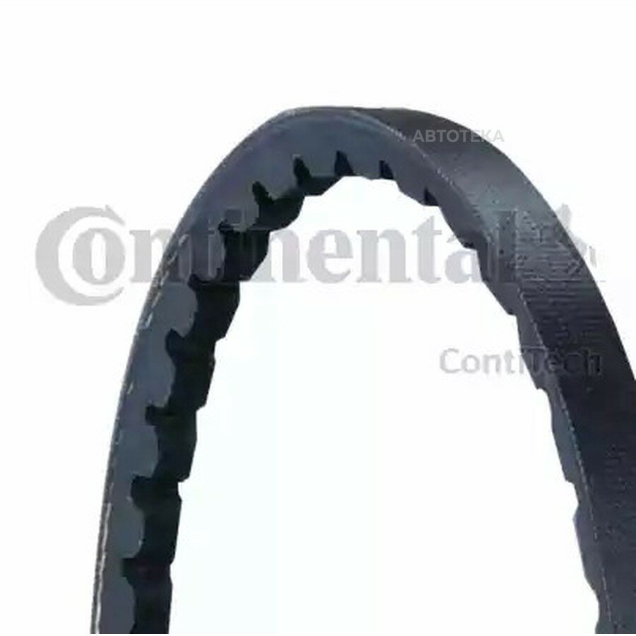 Ремень клиновой CONTITECH AVX10X1140