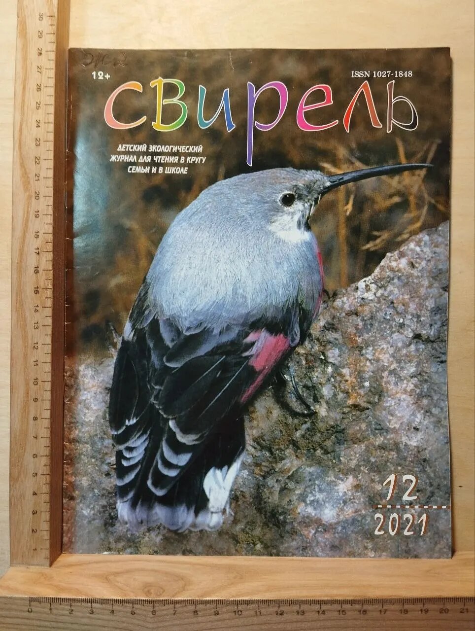 Журнал "Свирель" №12 (313) декабрь 2021 г.