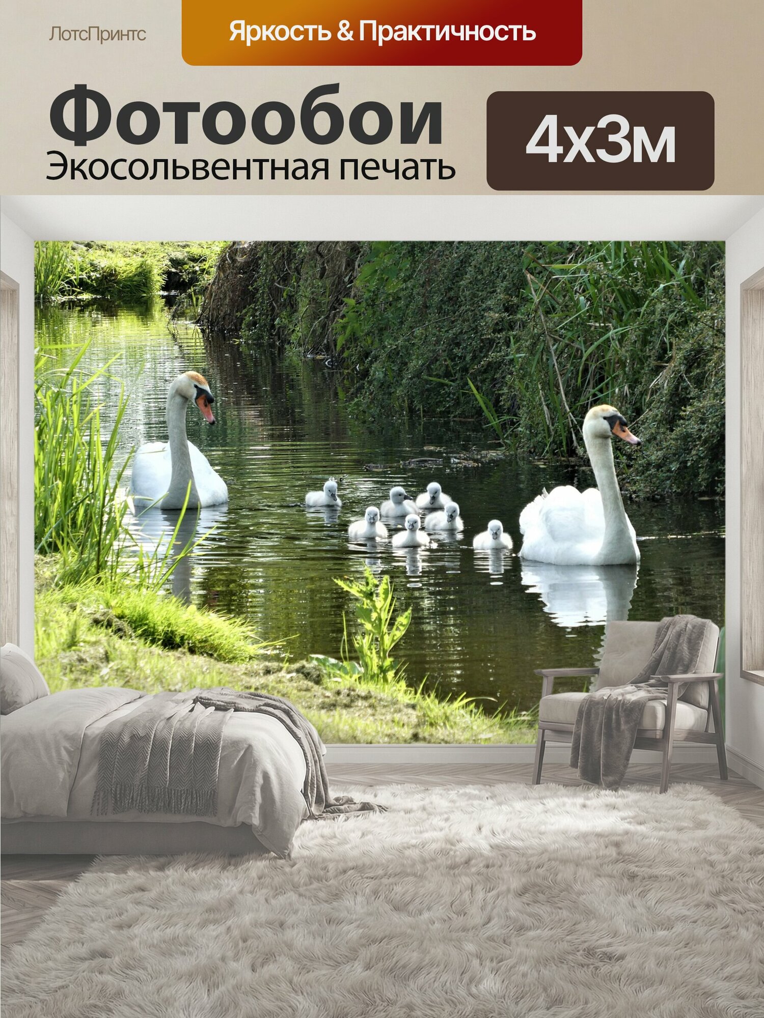 Фотообои "Лебедь с птенцами, лебедь, цыплята" 400x300 см. экосольвентная печать