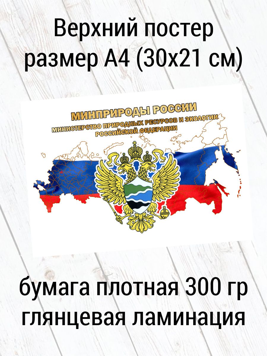 Календарь Минприроды — фото 1