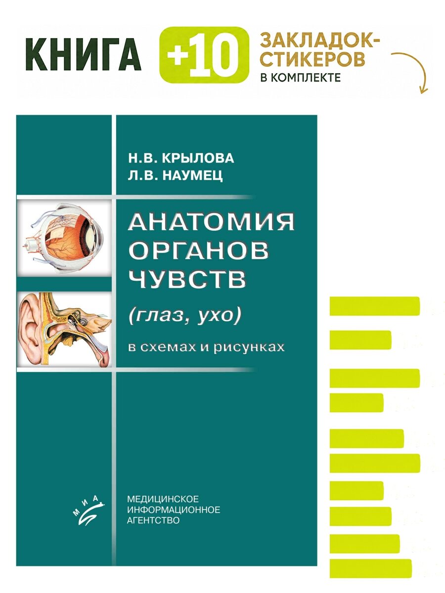 Анатомия органов чувств (глаз, ухо) в схемах и рисунках. Комплект: книга + 10 закладок-стикеров